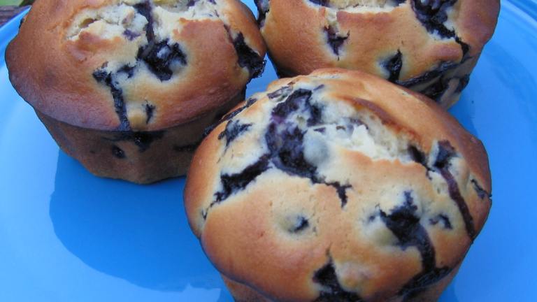 Joyously Jumbo Blueberry Muffins (Regular Size Adaptable) Recipe - Food.com