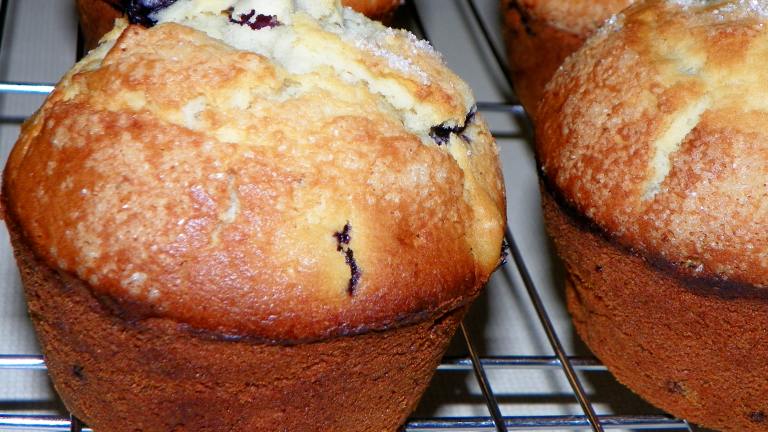 Joyously Jumbo Blueberry Muffins (Regular Size Adaptable) Recipe - Food.com