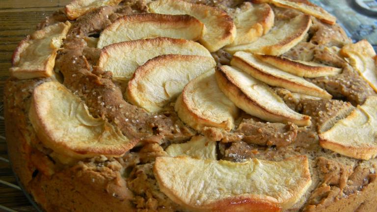 Apple Coconut Cake (Gf, Cf, Vegan) Recipe - Food.com