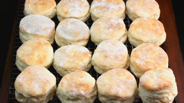 The Best Biscuit Recipe - Food.com