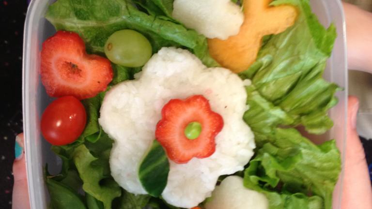 Japanese Onigiri and Bento Box Recipe - Food.com