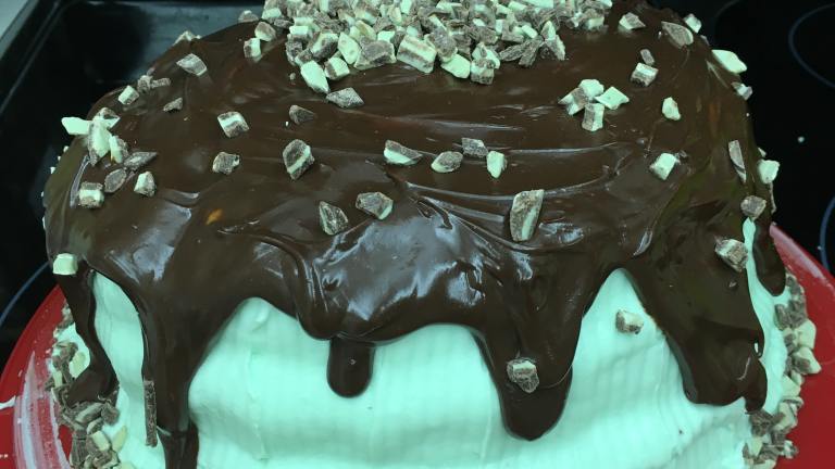 Andes Mint Chocolate Cake Recipe - Food.com