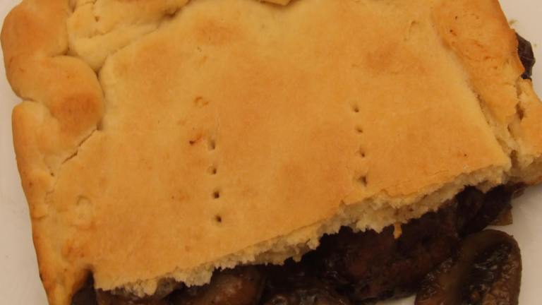 Kangaroo and Beer Pie with Damper Pastry Recipe - Food.com