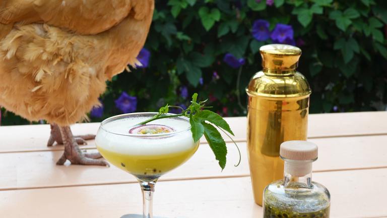 Passion Fruit Flip Recipe - Food.com