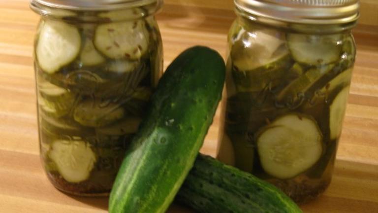 Easy Dill Pickles Recipe - Food.com