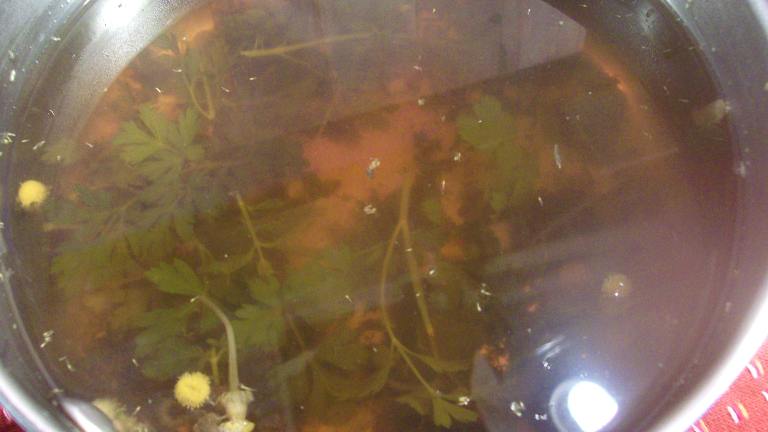 Hot Diaphoretic Herbal Tea Recipe - Food.com