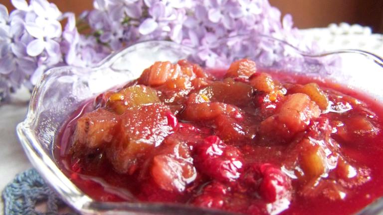 Raspberry Rhubarb Sauce Recipe - Food.com