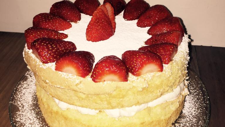 Custard Powder Sponge No Fail Sponge Cake Recipe