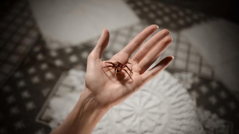 Caramel Nut Brown Recluse Spiders Recipe - Food.com