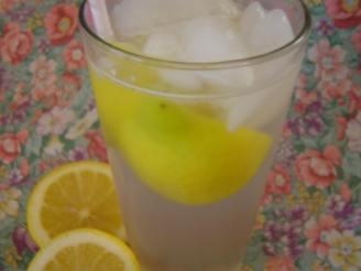 Lemon Shake-Up Recipe - Food.com