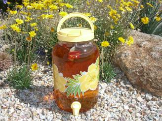 Sweet Sun Tea Recipe - Food.com