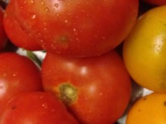 Italian Style Stewed Tomatoes Recipe - Food.com