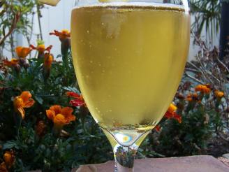 Liquid Candy Apple Recipe - Food.com