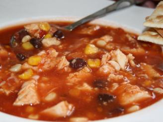 Chicken Salsa Soup With Tostitos and Mozzarella Cheese! Recipe - Food.com