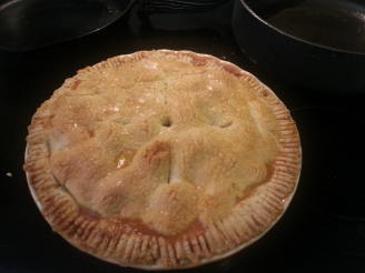 Old Fashioned Apple Cider Pie Recipe - Food.com