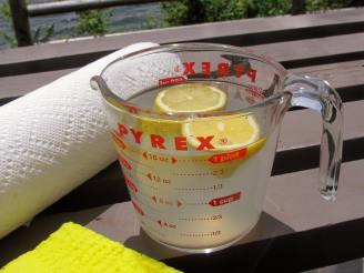 Easy Homemade Microwave Cleaner Recipe - Food.com