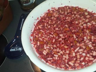 Cranberry and Raspberry Relish Recipe - Food.com