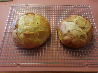 Rosemary Olive Oil Bread Recipe - Food.com