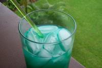 Cactus Cocktail Recipe - Food.com