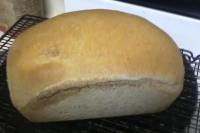 Wholesome Homemade Honey Whole Wheat Bread Recipe - Food.com
