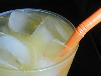 Orange Italian Soda With a Tropical Attitude Recipe - Food.com