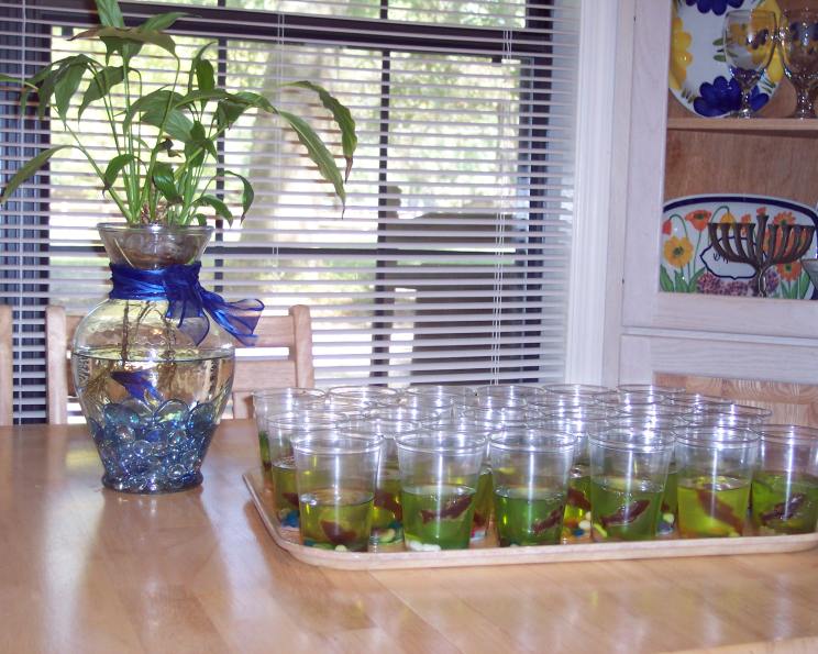 Jello Aquariums Recipe - Food.com
