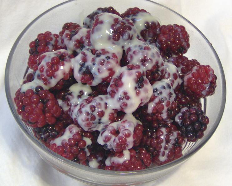 Raspberries and Sweetened Condensed Milk Recipe - Food.com