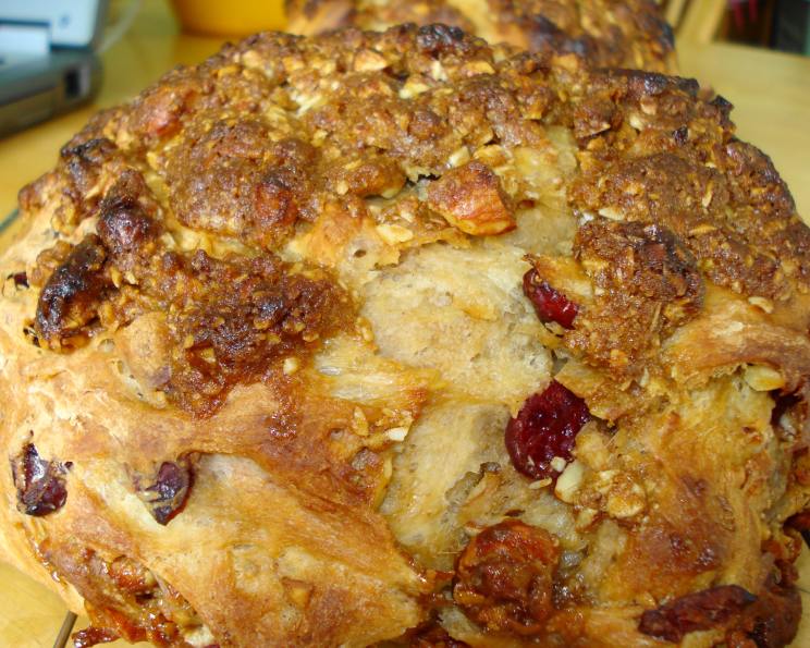 Crusty Cranberry Bread With Caramel Almonds (Almost No Knead) Recipe ...
