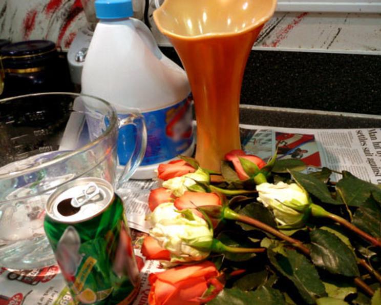 Cut Flower Preservative #1 Recipe - Food.com