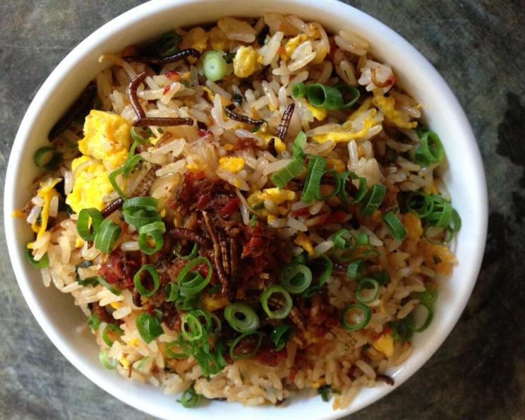 Mealworm Fried Rice Recipe - Food.com