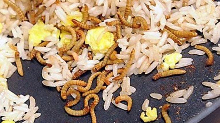Mealworm Fried Rice Recipe - Food.com
