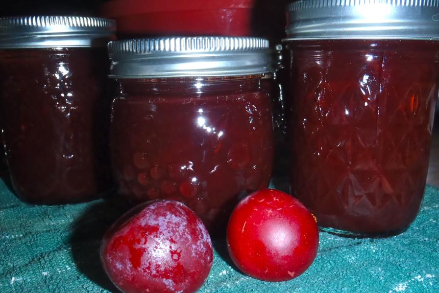 Plum Jam Recipe - Food.com