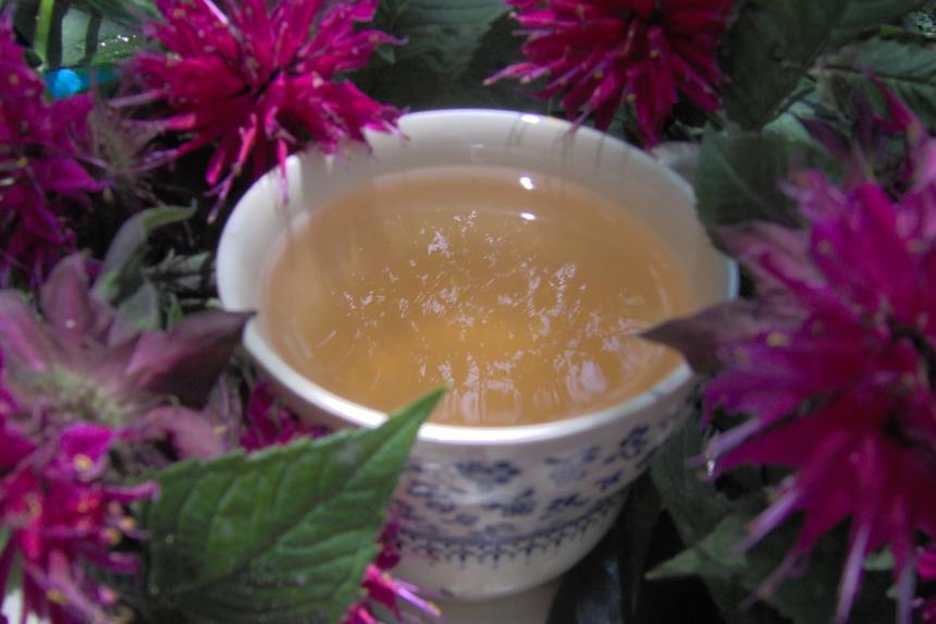 Bee Balm Tea Recipe - Food.com