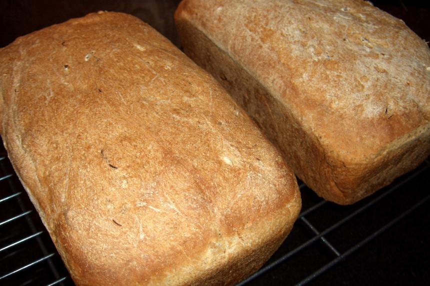 Sprouted Wheat Berry Bread Recipe - Food.com