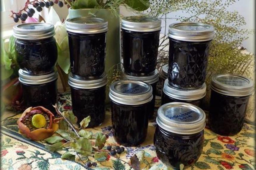 Saskatoon Berry Jam Recipe - Food.com