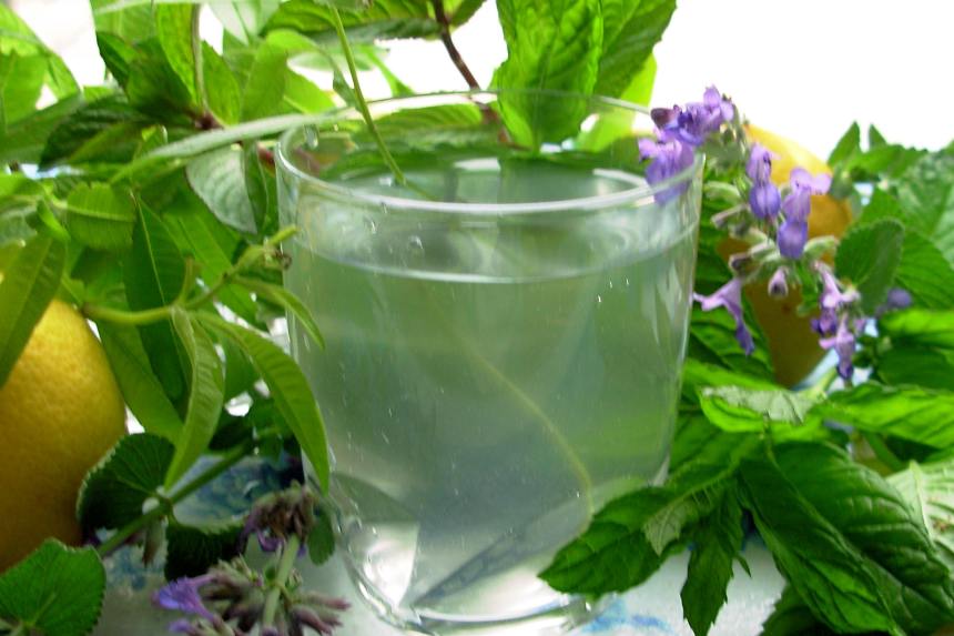 Lemon Verbena and Mint Tea - French Verveine and Mint Tisane Recipe ...
