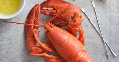how to cook lobster.com.html.html.html