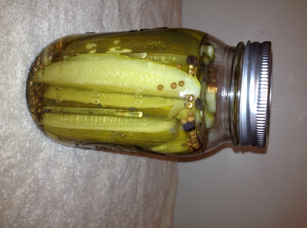 Marybelle's Polish Dill Pickles Recipe - Food.com