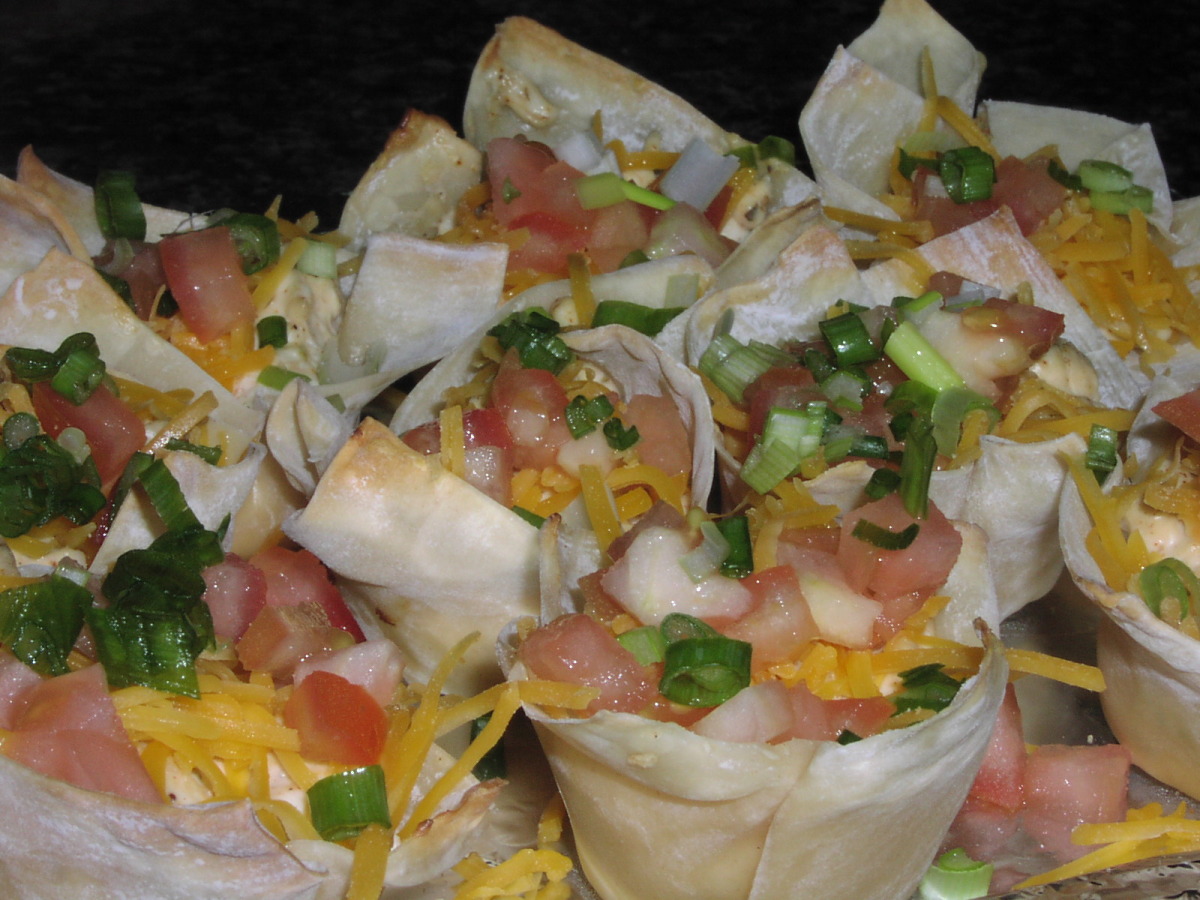 Taco Bites Recipe - Food.com