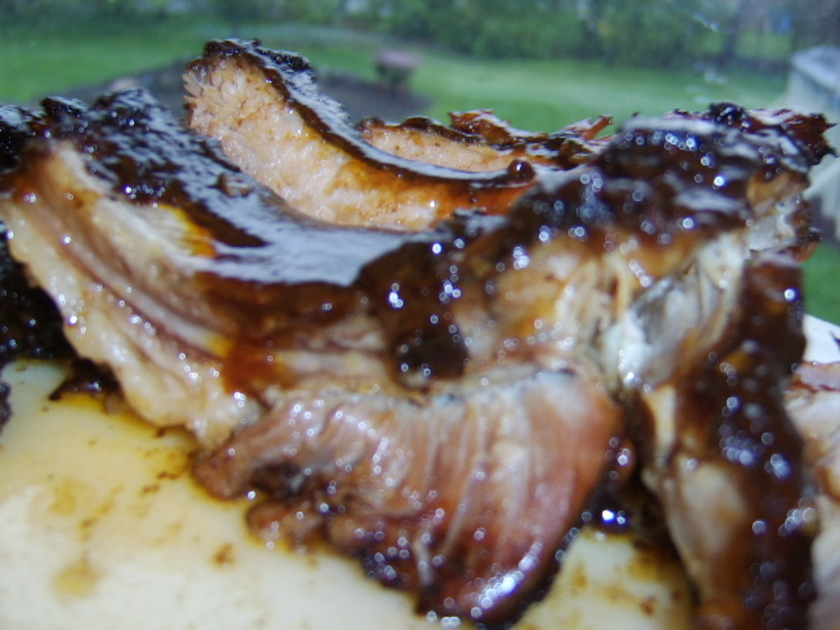 Best Ever BBQ Ribs Recipe - Food.com