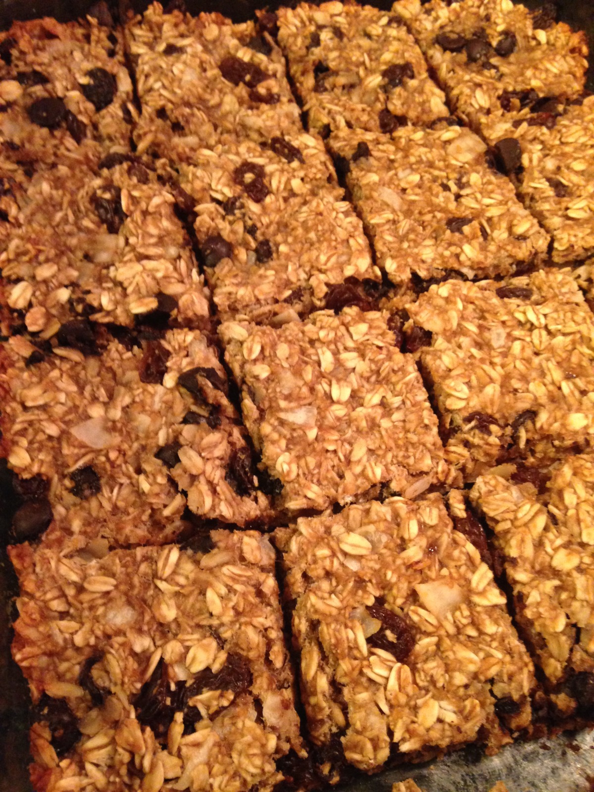 Dr Fuhrman Breakfast Bars Recipe | Besto Blog