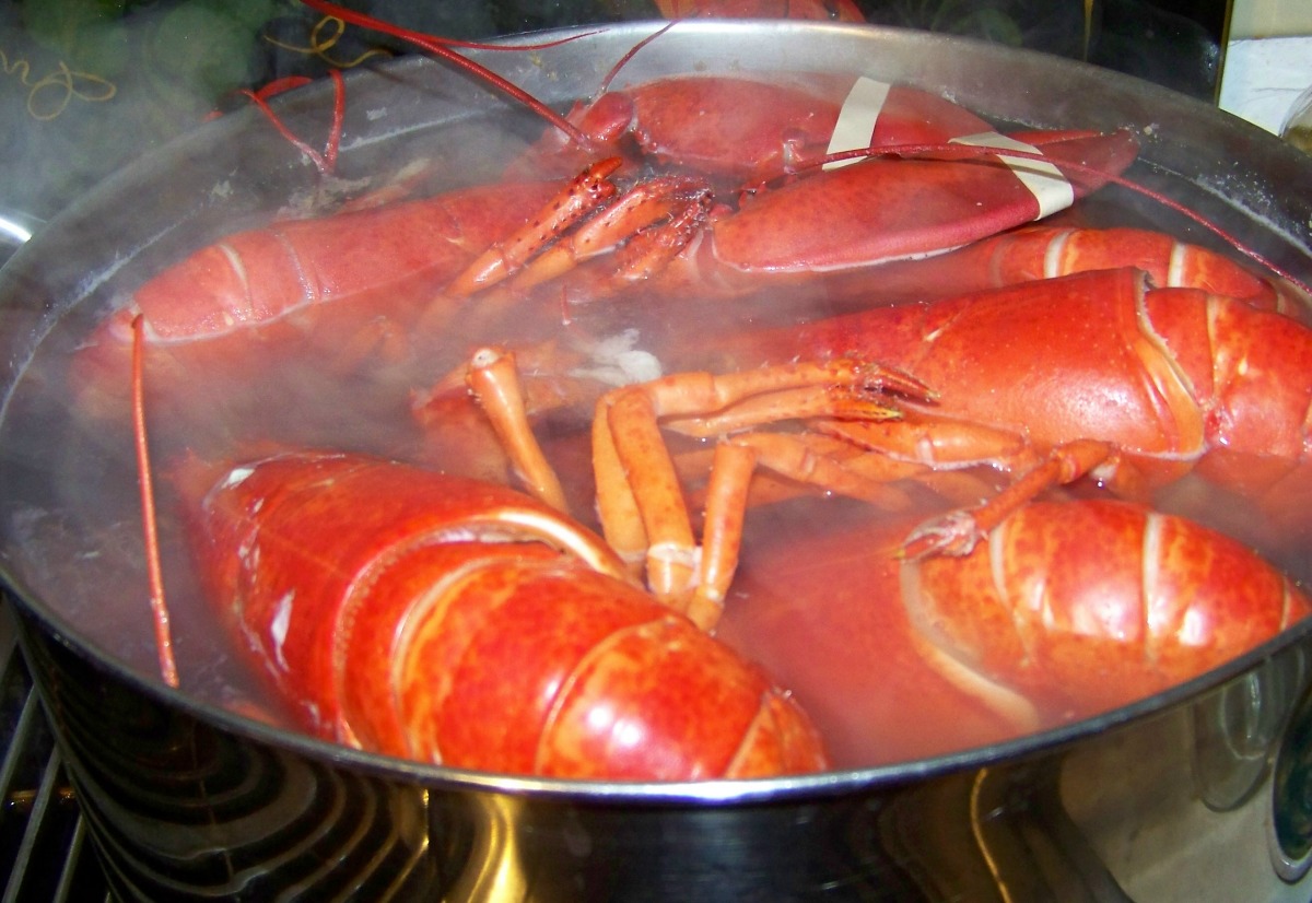 how to boil a 3 pound lobster