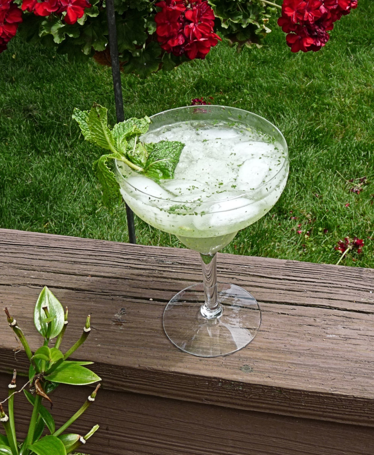 Cuban Mojito Recipe - Food.com