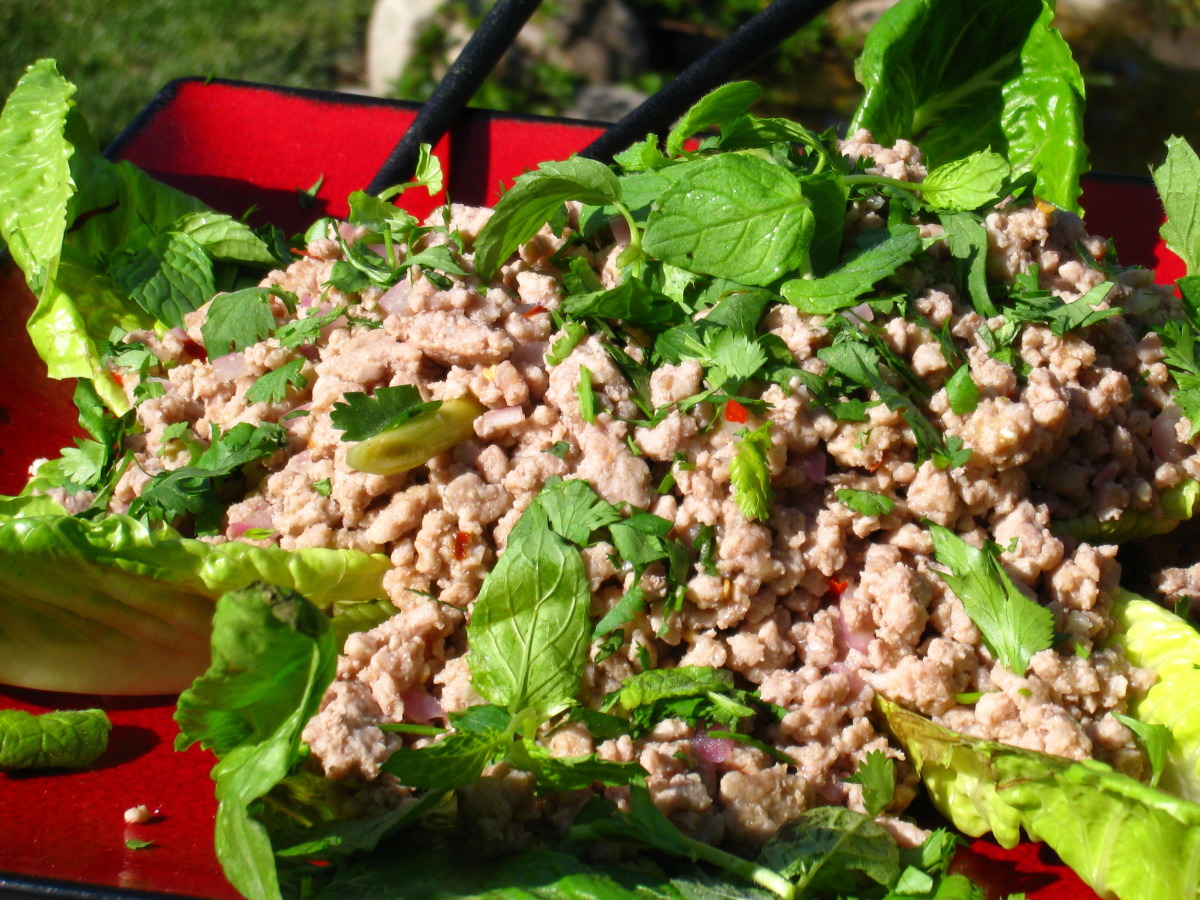 Larb Chicken Recipe - Food.com