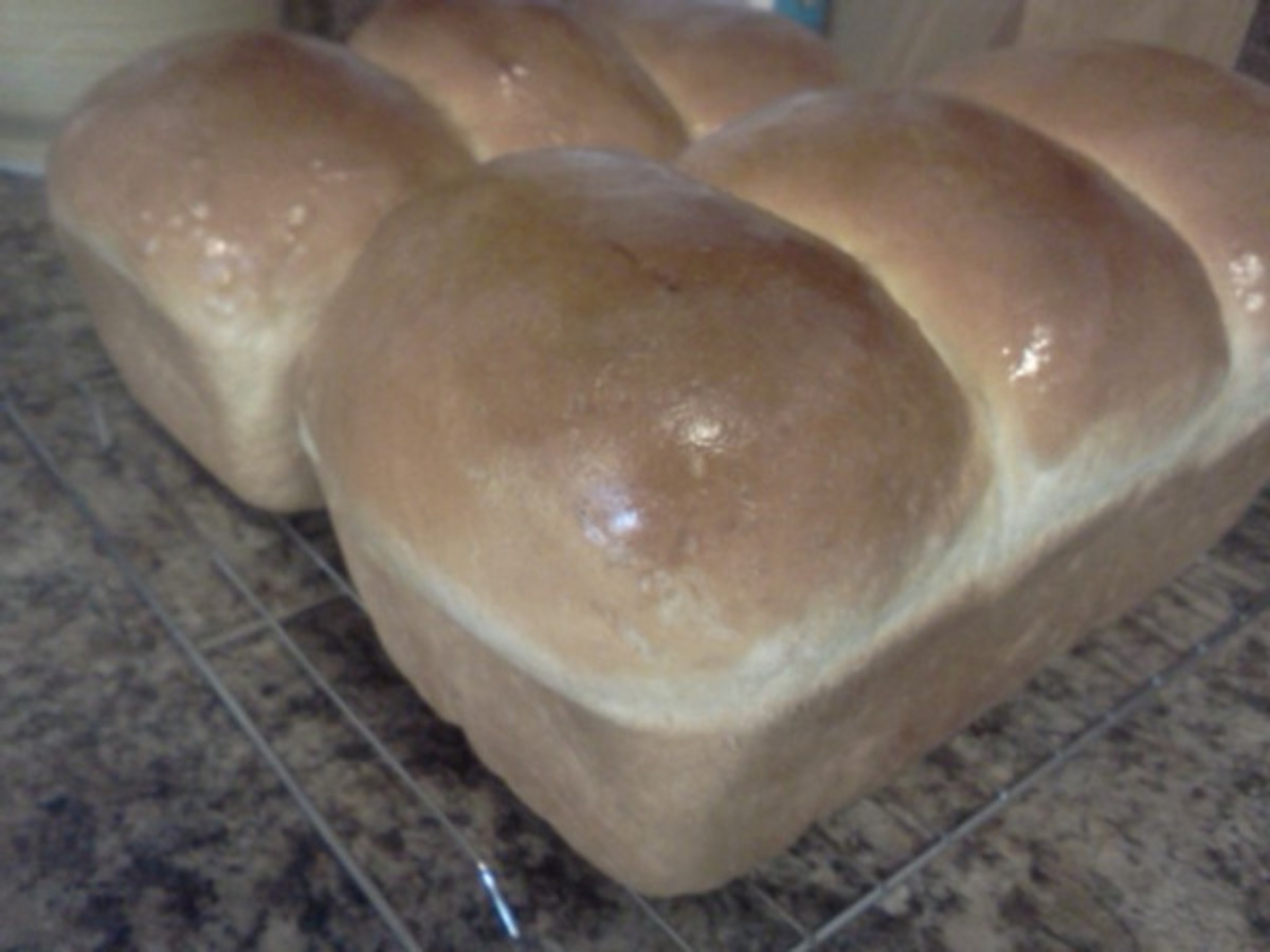 Newfoundland White Bread Recipe - Food.com