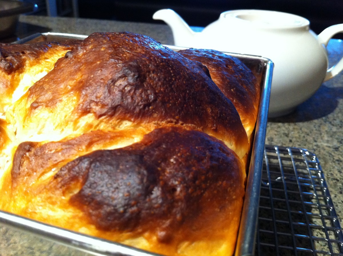 Panipopo (Samoan Sweet Coconut Buns) Recipe - Food.com