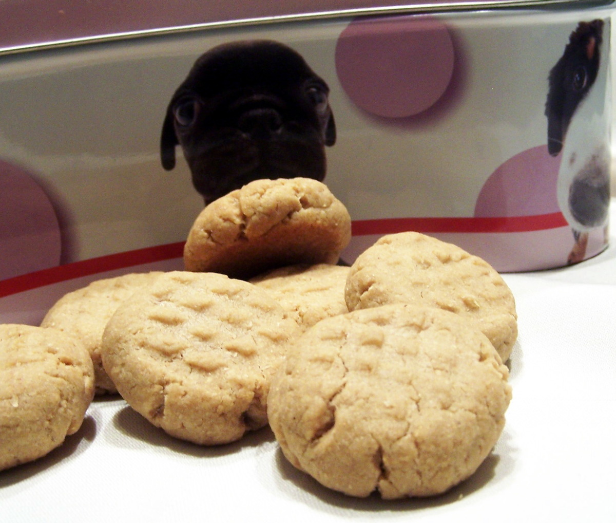 Peanut Butter Doggie Cookies Recipe - Food.com