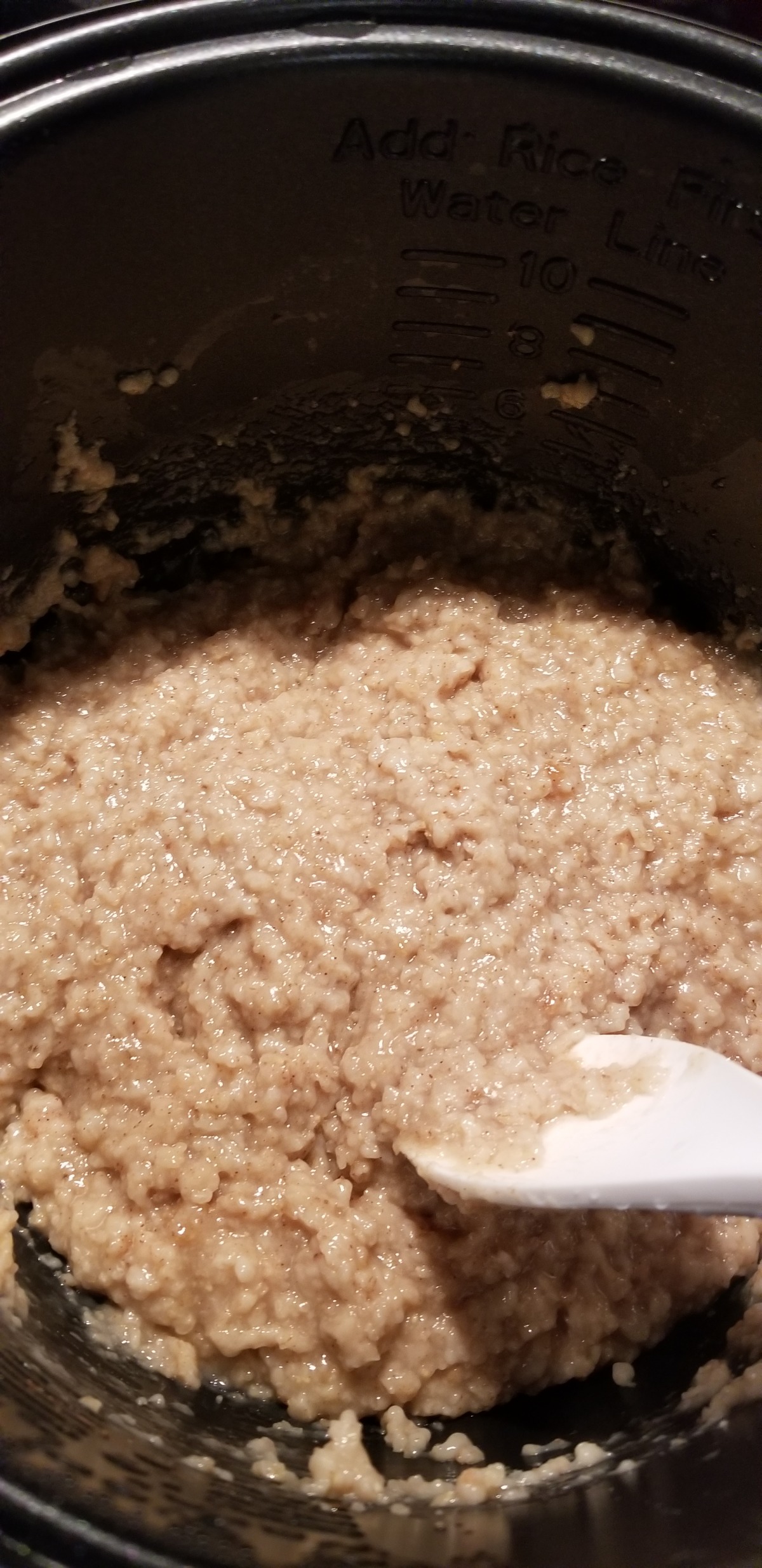 how to cook oatmeal in aroma rice cooker