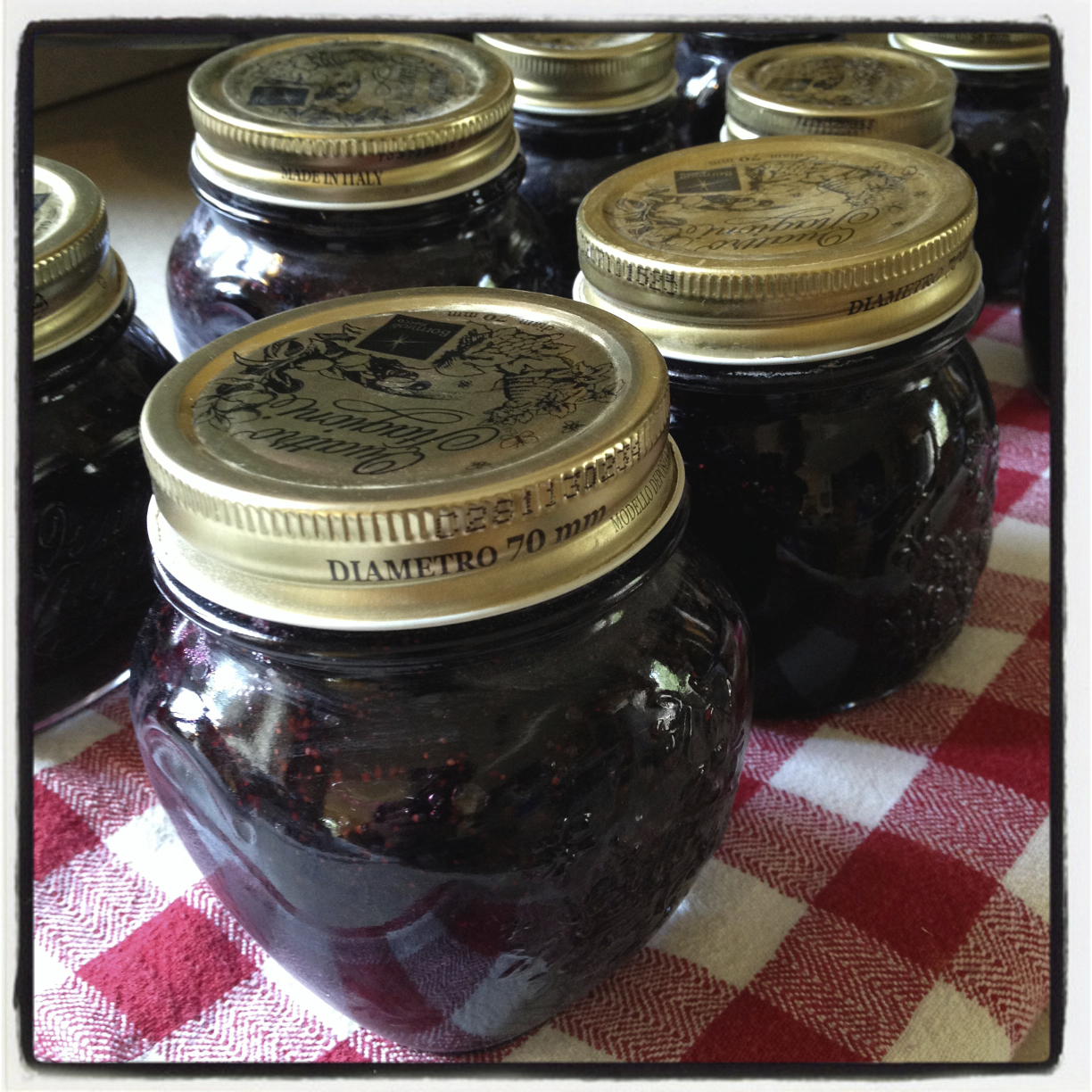 Blueberry Jam Canning Recipe With Pectin | Bryont Blog