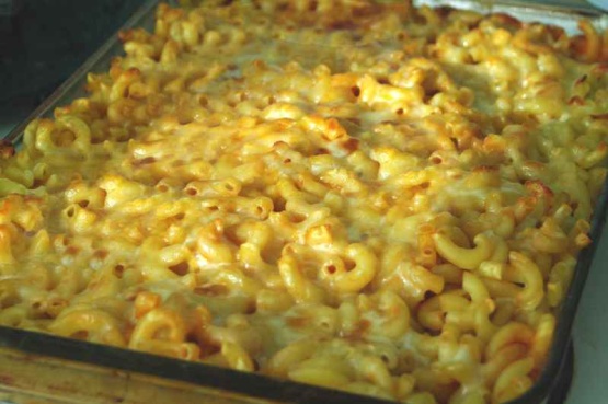 Macaroni Special Recipe - Genius Kitchen